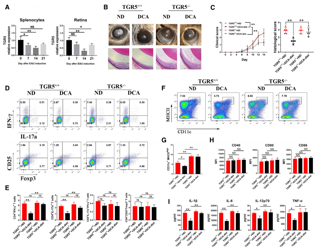 项目文章（IF 9.423）| 肠道菌群胆汁酸代谢失调诱发自身免疫性葡萄膜炎_研究_细胞_功能