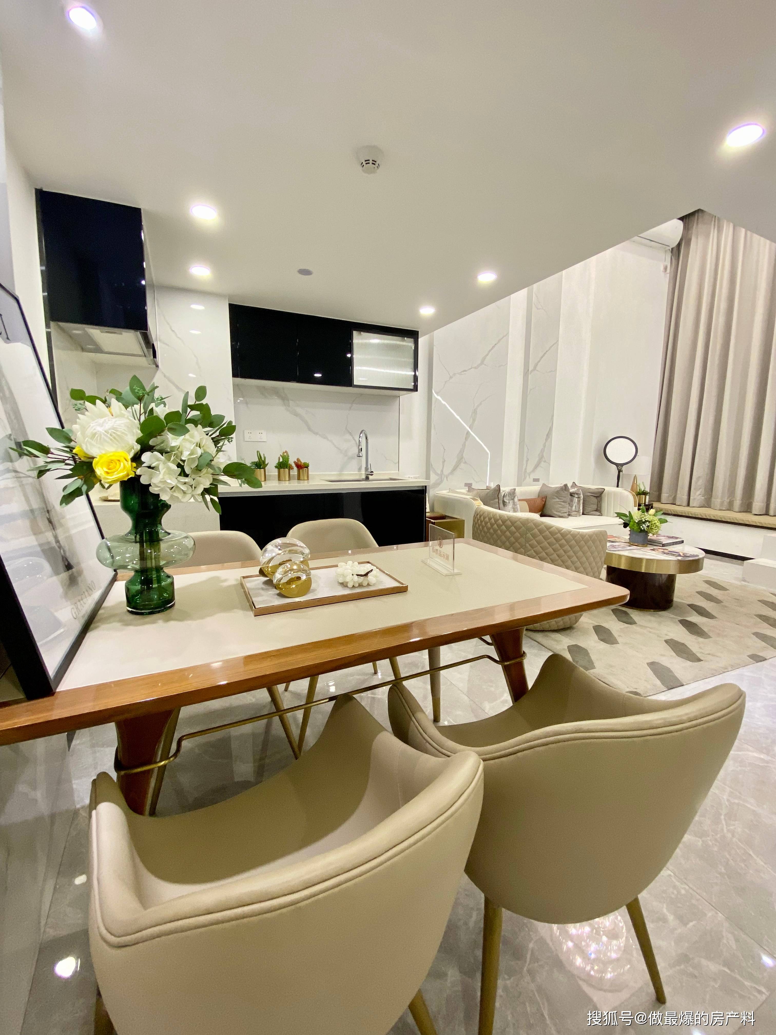 火爆广州的【国信花生大厦】，29w一套？一起看看-搜狐大视野-搜狐新闻