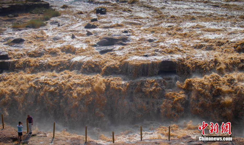 黄河壶口瀑布迎来金瀑观赏季-搜狐大视野-搜狐新闻