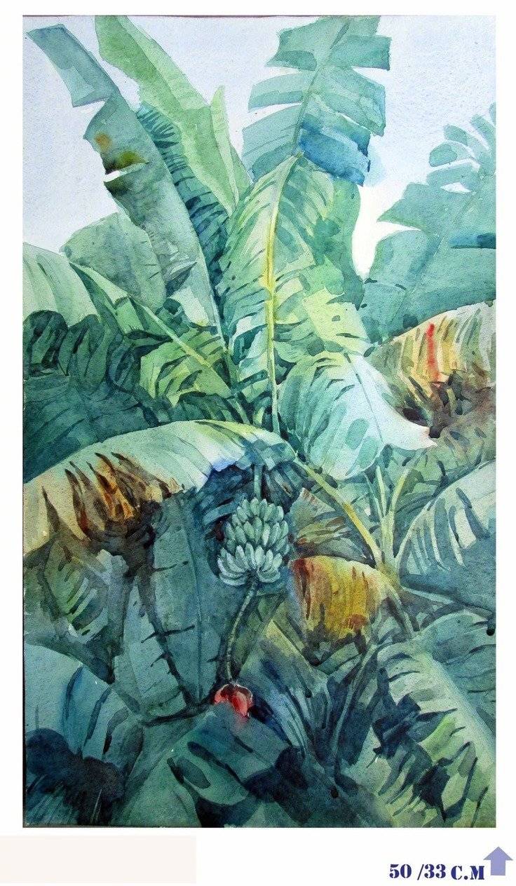 来自画家 Marlies Merk Najaka 水彩作品 欣赏-搜狐大视野-搜狐新闻