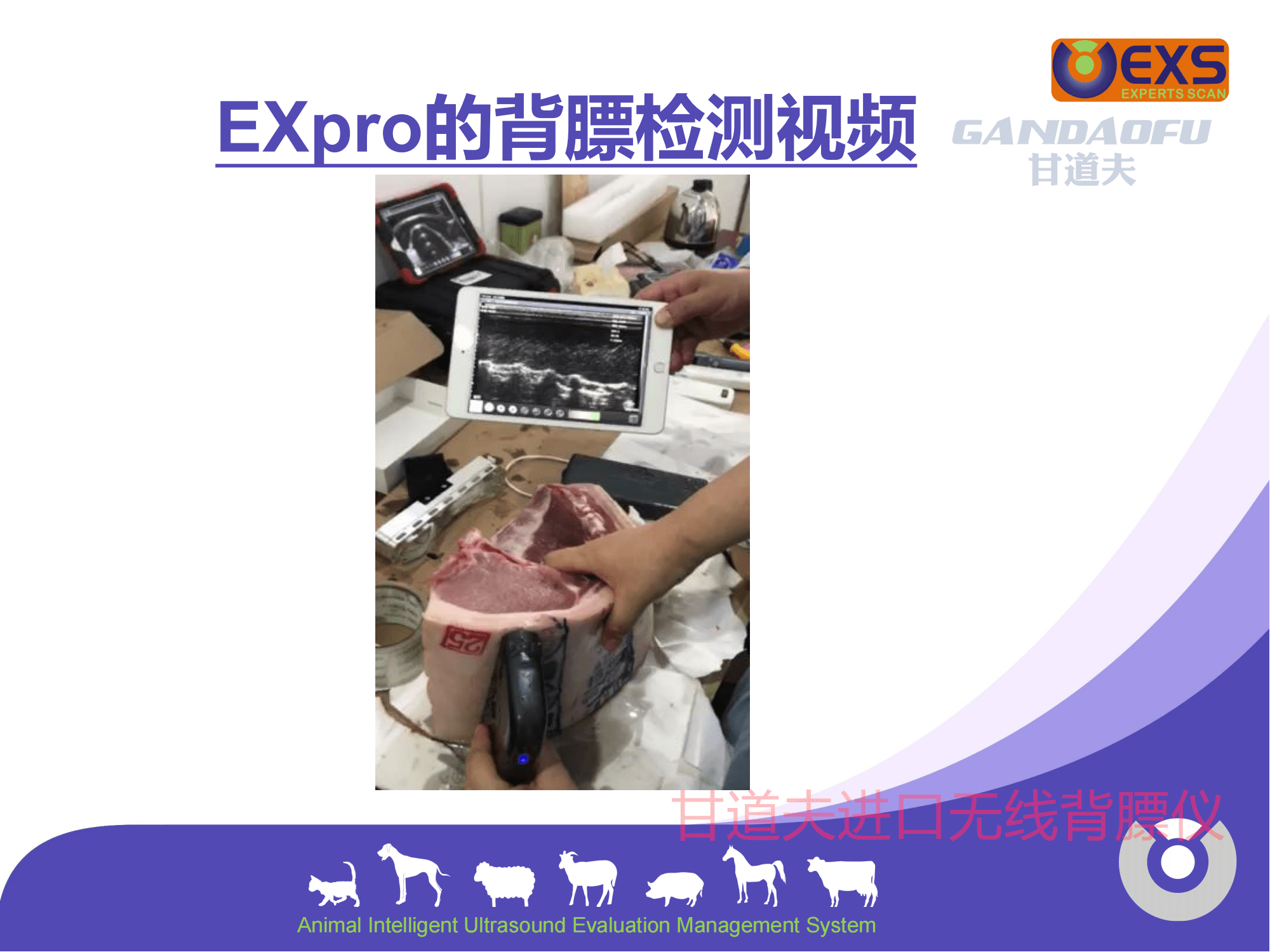 进口无线背膘眼肌面积测定仪EXPRO-搜狐大视野-搜狐新闻