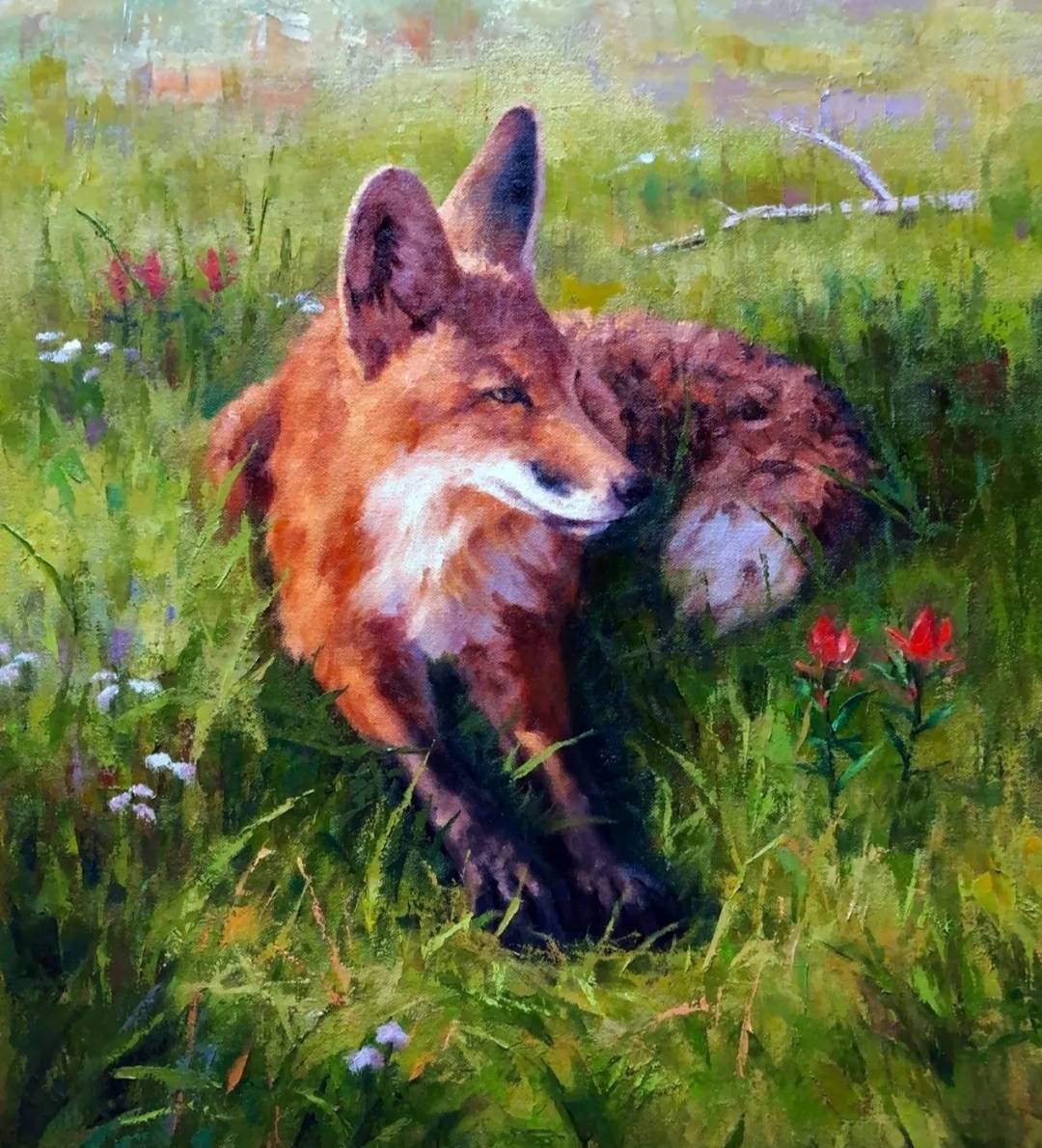 美国艺术家 Dwayne Brech野生动物油画作品欣赏-搜狐大视野-搜狐新闻