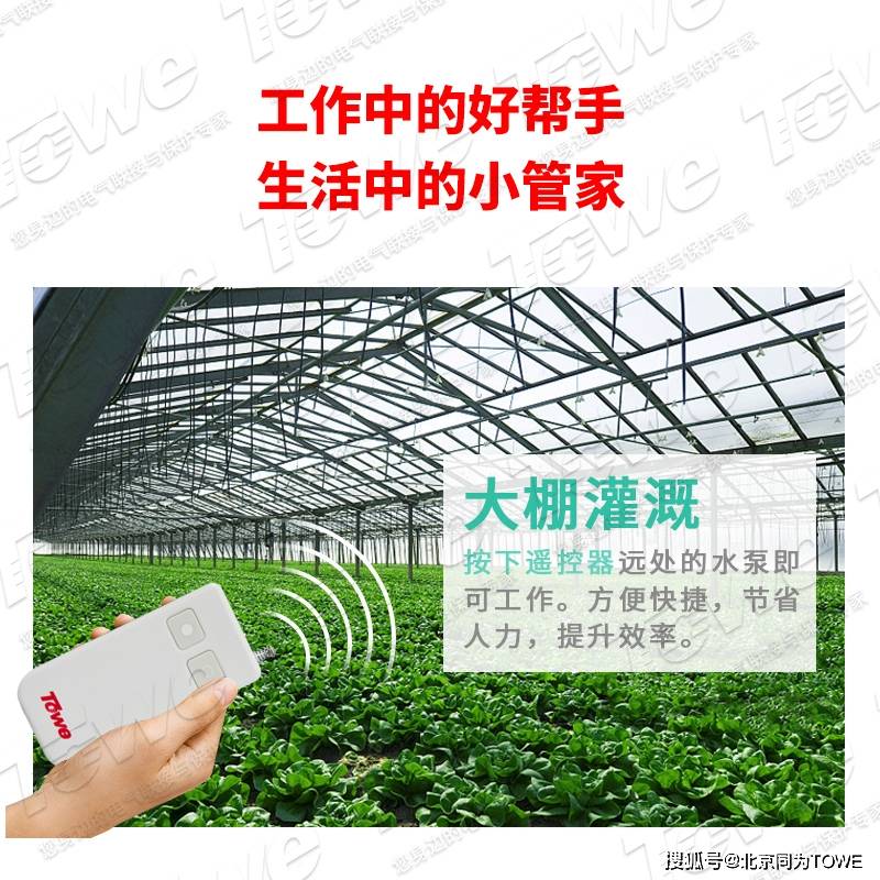 智能便捷，同为（TOWE）大功率遥控插座AP-WS161-搜狐大视野-搜狐新闻