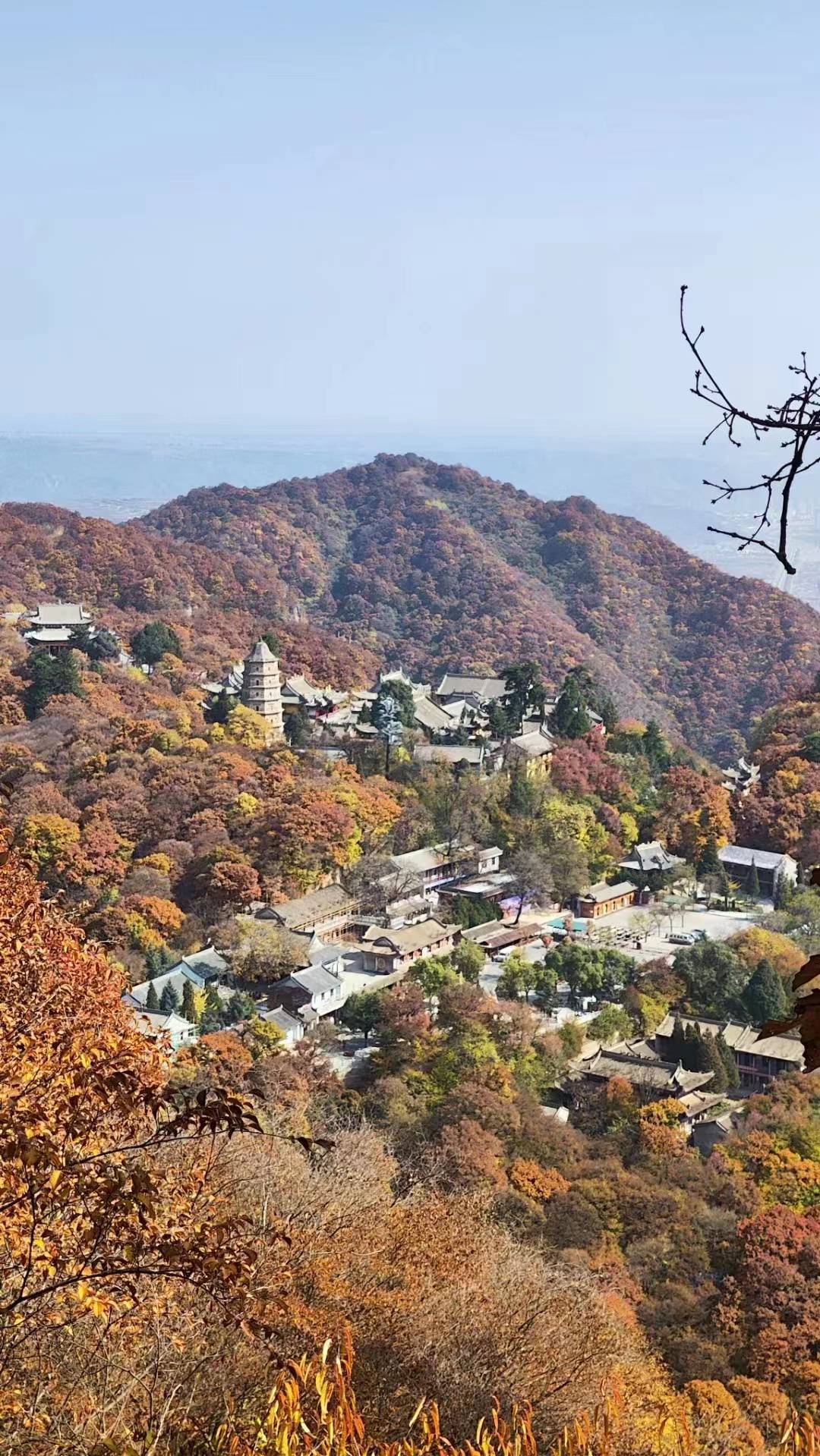甘肃平凉崆峒山“秋韵”正浓-搜狐大视野-搜狐新闻