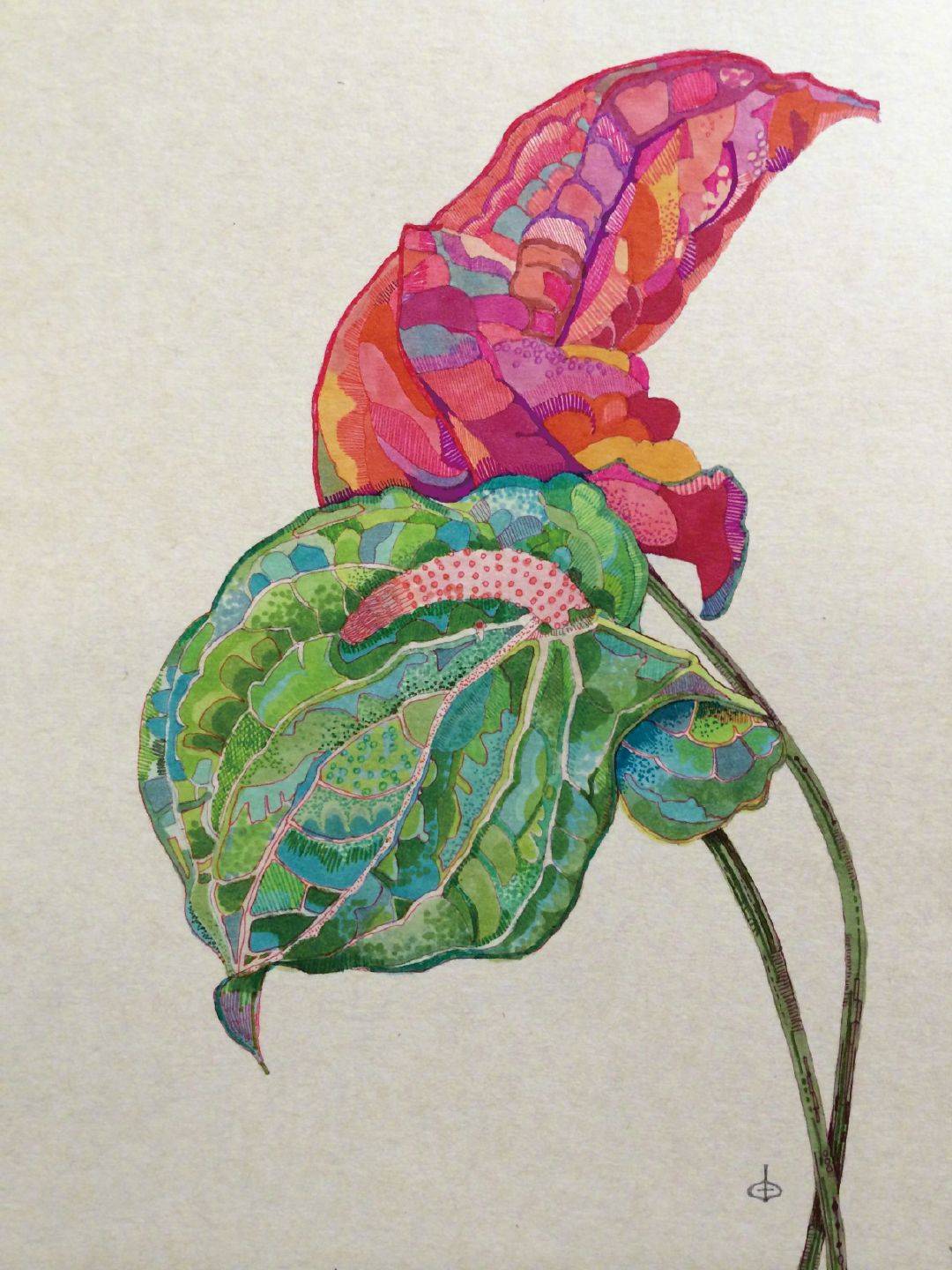 画家 Yuko Kurihara 绘画中色彩斑斓的美食作品-搜狐大视野-搜狐新闻