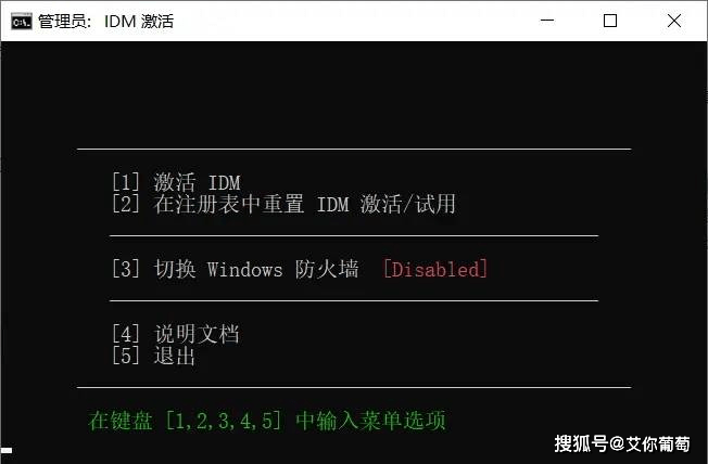 IDM下载器2023终身版免激活授权下载-阿里云开发者社区