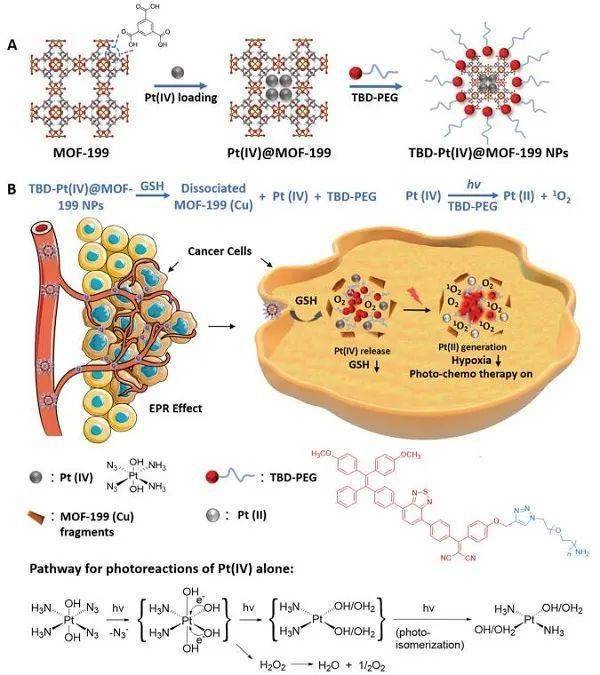 刘斌团队 AFM：MOF辅助和肿瘤微环境调控协同成像引导的光化学治疗_化疗