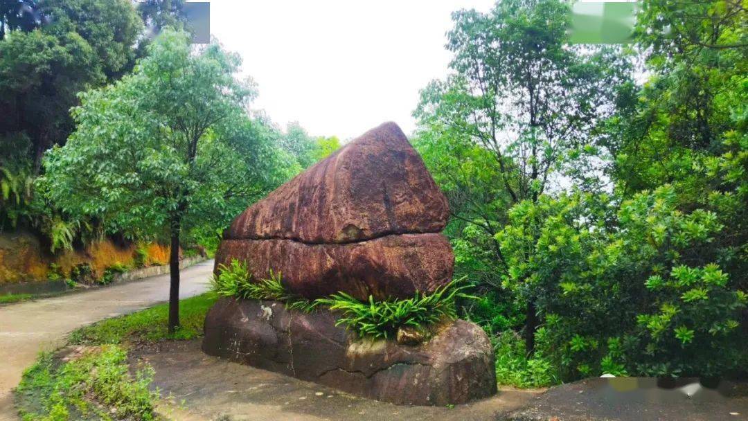 心旷神怡！旅游团走进如诗如画的瑞山生态旅游度假村-搜狐大视野-搜狐新闻