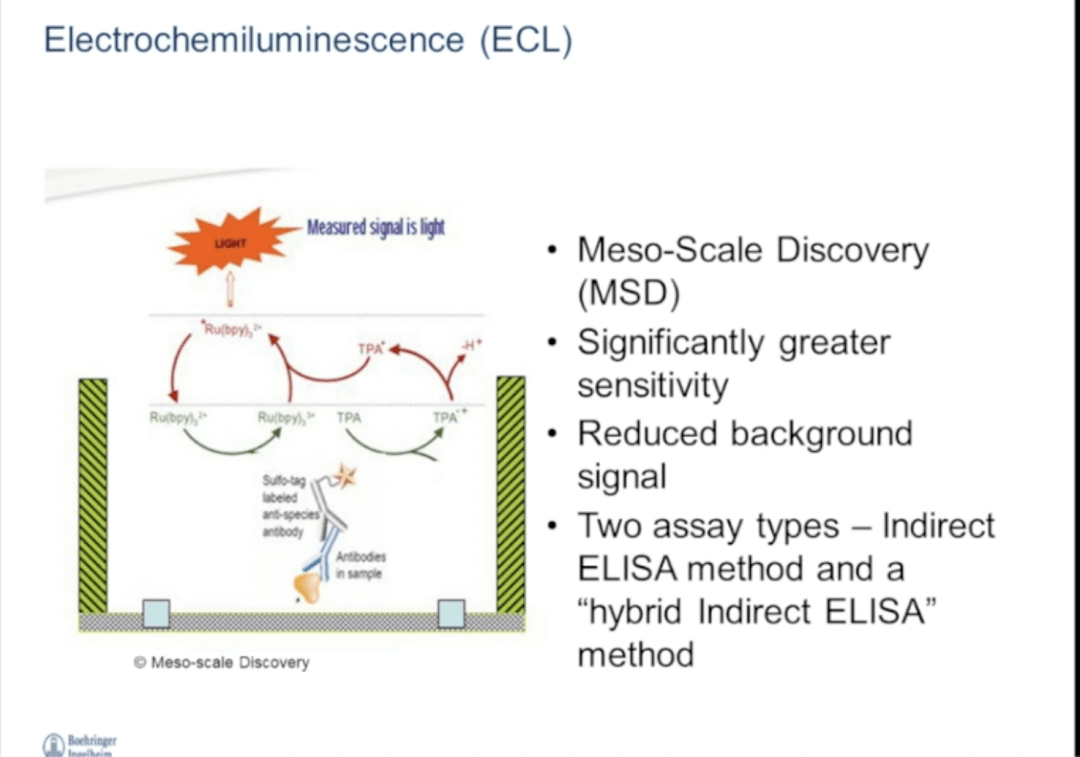 MSD S600的384孔检测系列（应用5）：BI在线讲座介绍ELISA-MSD全自动平台建设方案_中国区