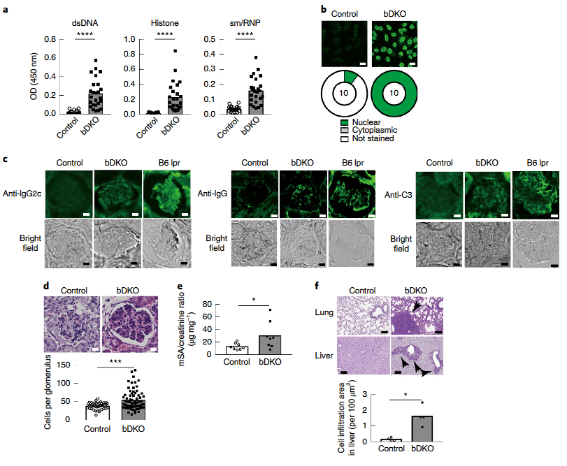 重磅！日本团队揭示明星蛋白Tet2和Tet3在自身免疫中的抑制作用-搜狐大视野-搜狐新闻