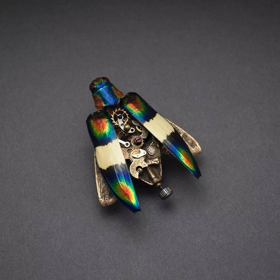 机械昆虫艺术家 Mike Libby-搜狐大视野-搜狐新闻