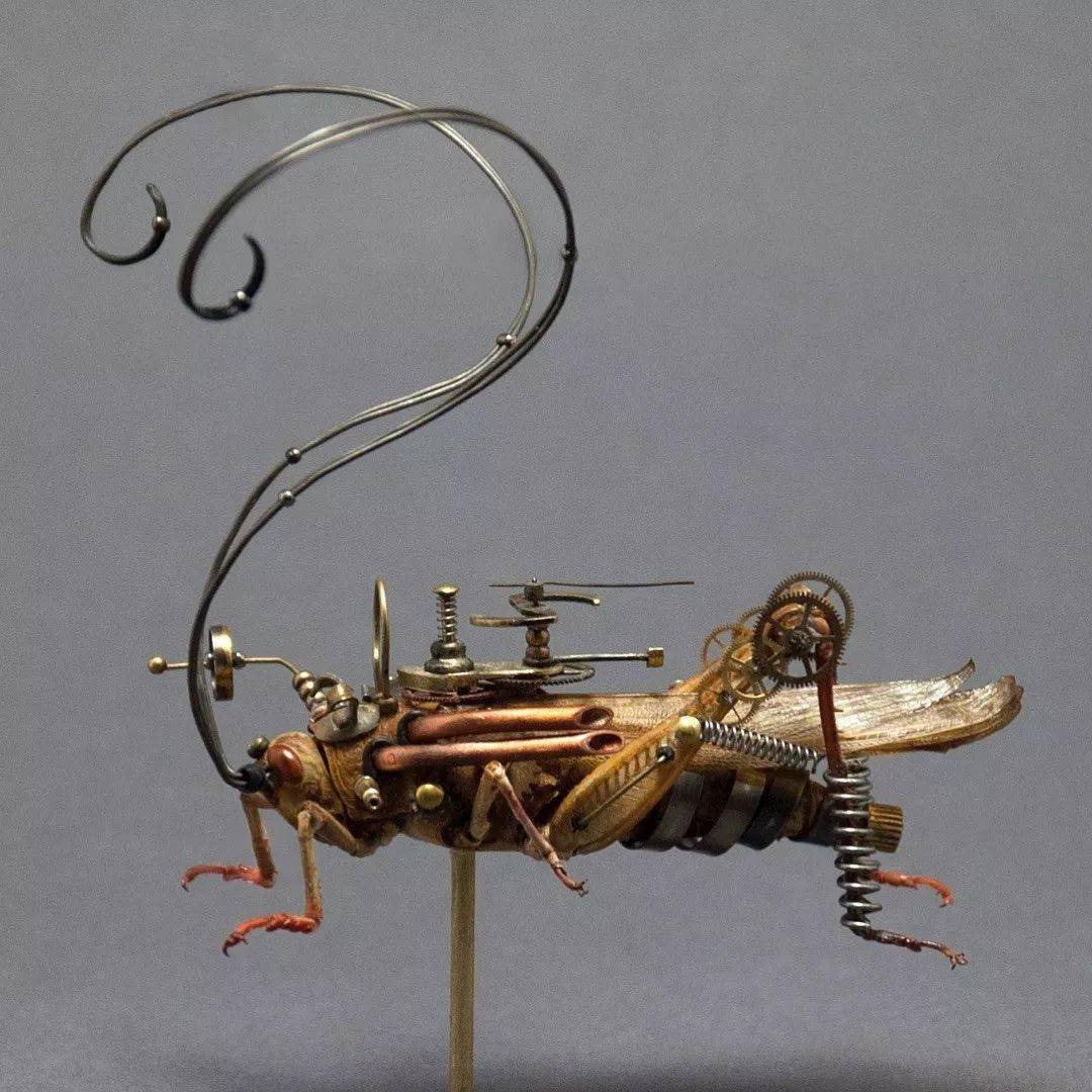 机械昆虫艺术家 Mike Libby-搜狐大视野-搜狐新闻