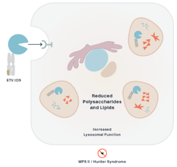 探针资本_上市公司分析： Denali Therapeutics_阿兹海默