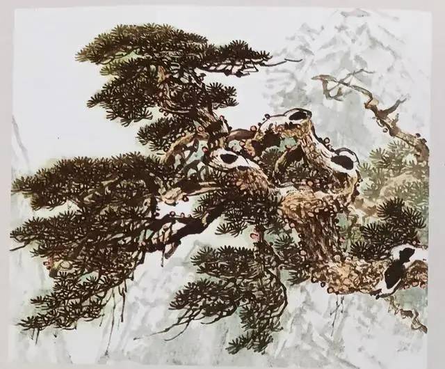 国画：松树的各种画法「图解」-搜狐大视野-搜狐新闻