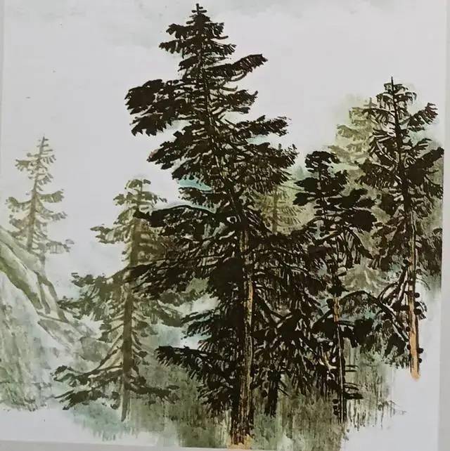 国画：松树的各种画法「图解」-搜狐大视野-搜狐新闻