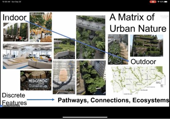 Timothy Beatley：建立人与自然和谐共生的生态城市 | 学术季_人类