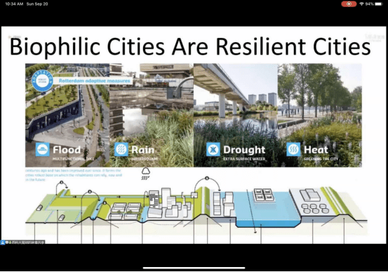 Timothy Beatley：建立人与自然和谐共生的生态城市 | 学术季_人类