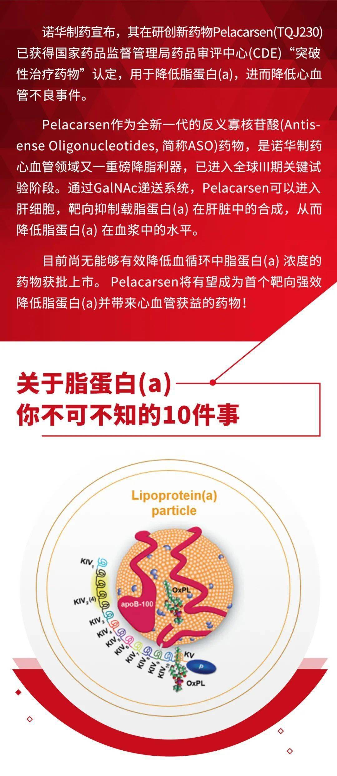 重磅血脂新药Pelacarsen 获得中国国家药监局突破性治疗药物认定