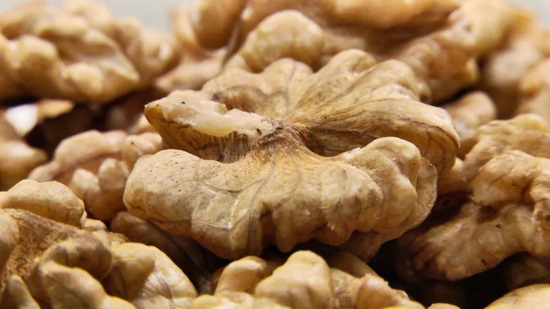 人气旺到排队2小时都不过分！上海人冬日滋补的神器！第一食品商店的芝麻核桃粉强势来袭！-搜狐大视野-搜狐新闻