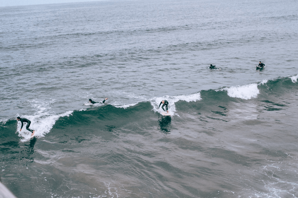 2020，这15大人事变动影响了奶粉行业_贝因美