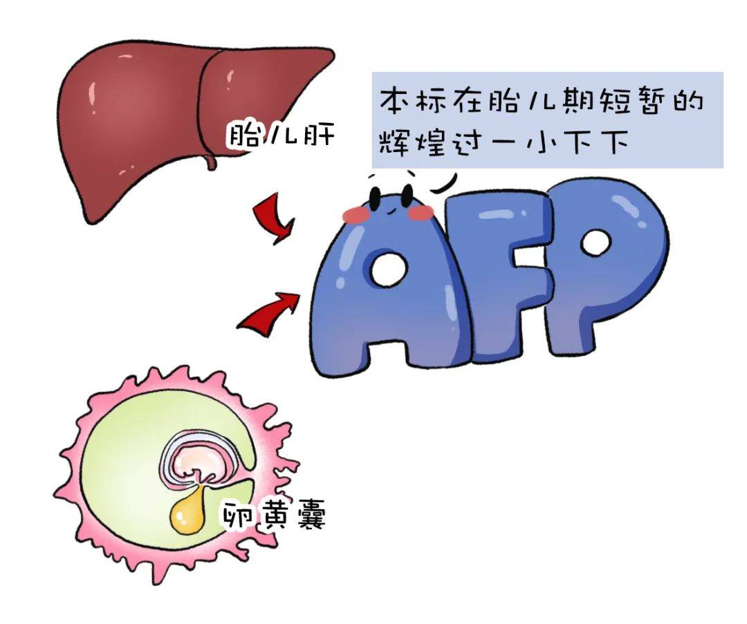 AFP vs. DCP，肝癌肿瘤标记物，谁更优？_诊断