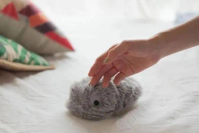 2500元一只！史上最萌的AI电子宠物问世，看着就想撸_Moflin