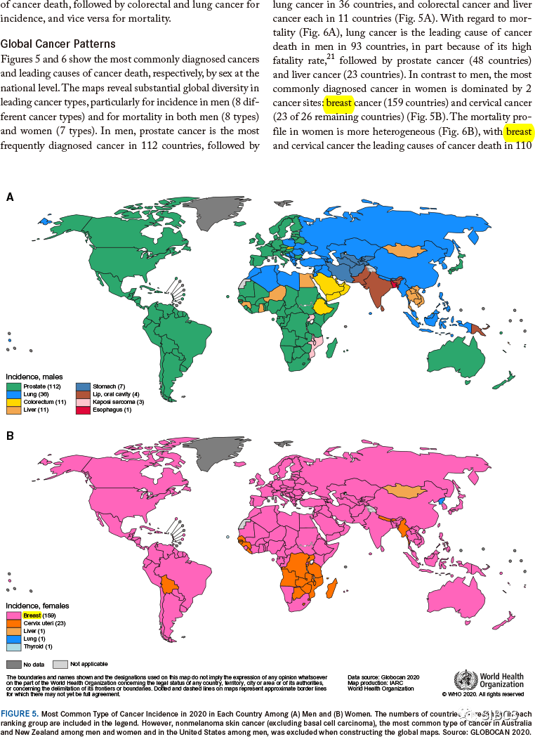 神刊：GLOBOCAN 2020_Cancer