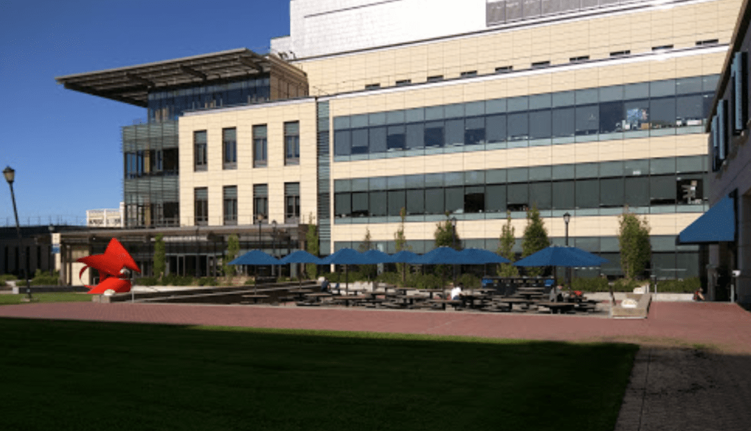 【BCSSA·春节包通知】春节包发放详细信息公布_Brown's