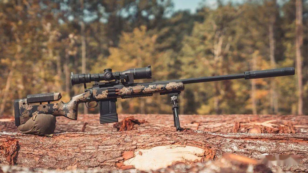 【枪械美图】那些看不尽的婀娜多姿 风姿卓绝_火器