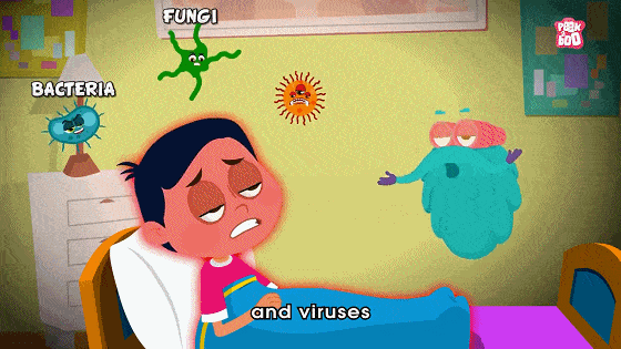 200集科普视频，赞到爆《The Dr. Binocs Show》（含资源）_What