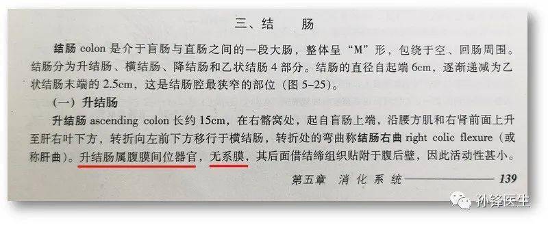 医学笔记︱被雪藏了200年的“Toldt‘s筋膜”理论！_肠系膜