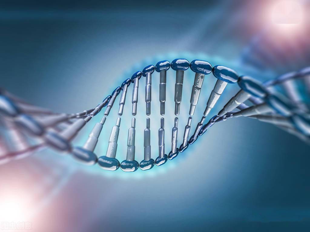 分子影像学（molecular imaging）_技术