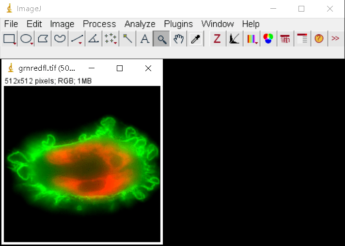 老司机带你使用ImageJ高效分析图片_tools