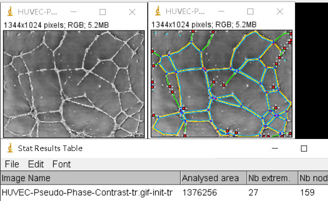 老司机带你使用ImageJ高效分析图片_tools