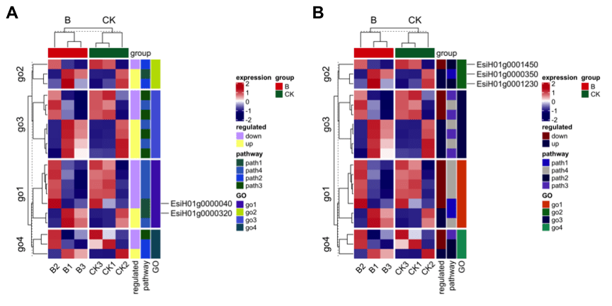 如何让你的图变得高大上之ComplexHeatmap_exp