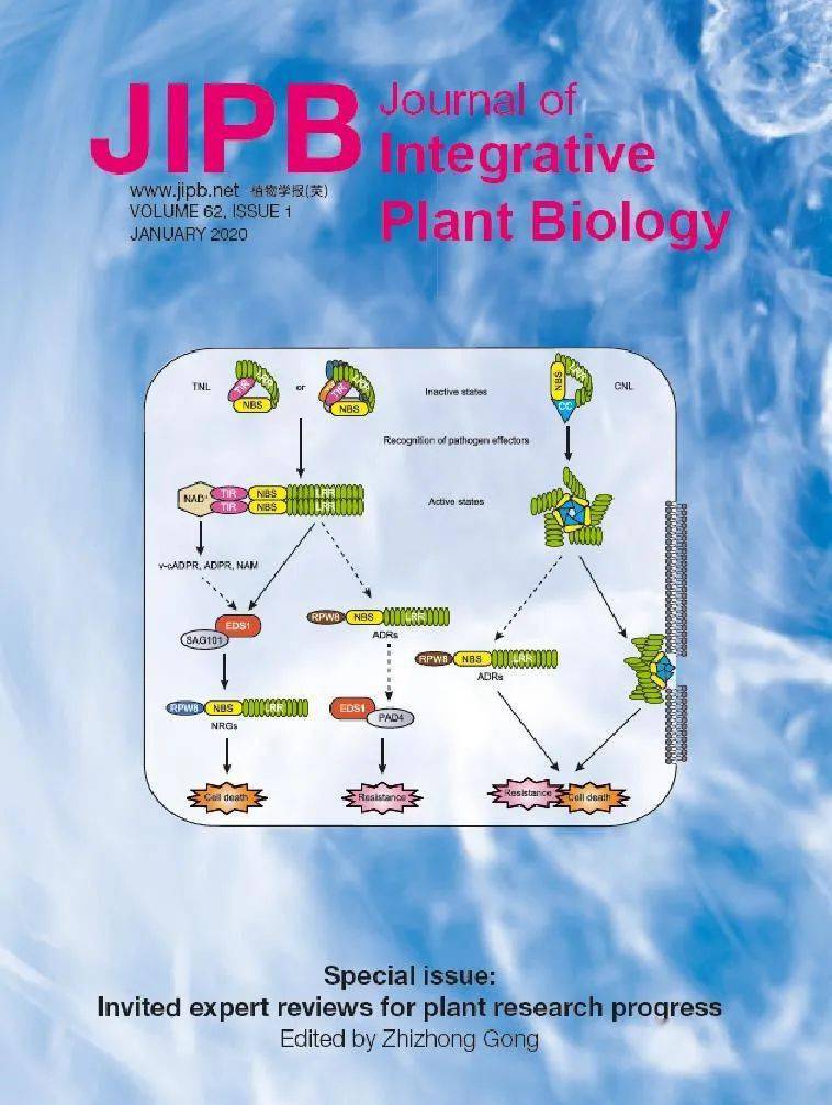 JIPB | 朱健康 邓兴旺 周俭民 姜里文 唐定中 何跃辉 等综述植物领域研究进展_Plants