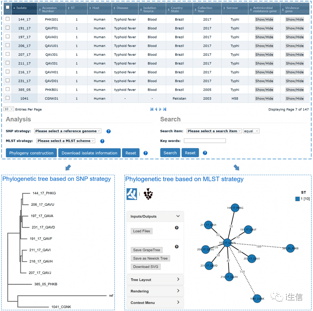 搞肠道微生物菌群的看过来：介绍一个细菌基因分型和源头追踪的一站式数据库_BacWGSTdb