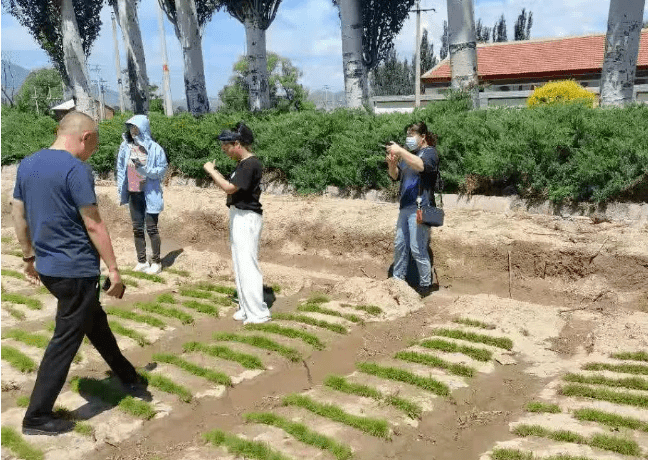 林业 市种苗站到涿调研良种苗木繁育项目 涿鹿县