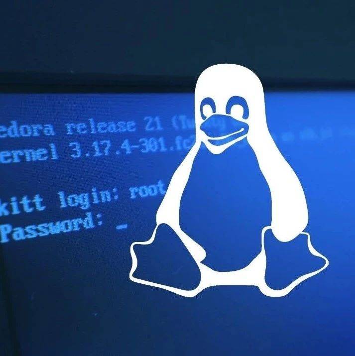 解析超经典的 Linux Fork 炸弹_运行