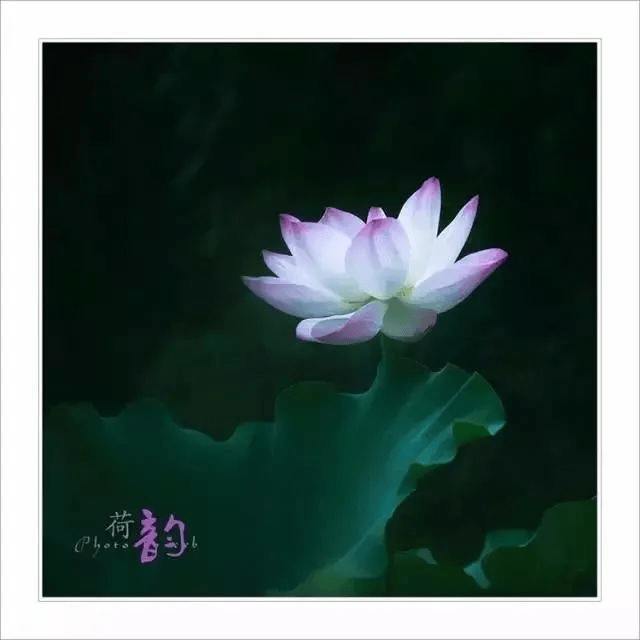 将心比心(写的真好)诗词