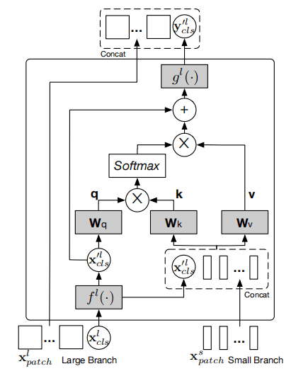 ICCV2021 MIT-IBM开源：Transformer走向多分支、多尺度_token