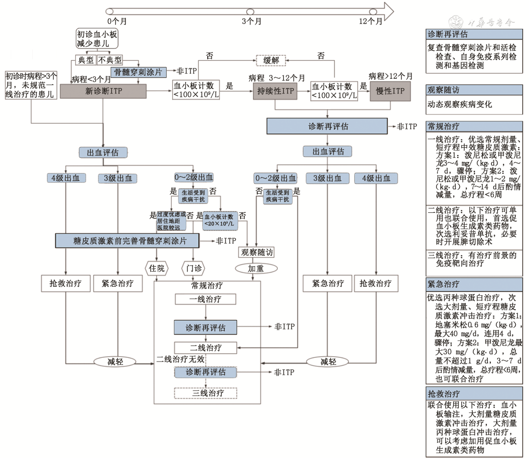中国儿童原发性免疫性血小板减少症诊断与治疗改编指南(2021版)患儿