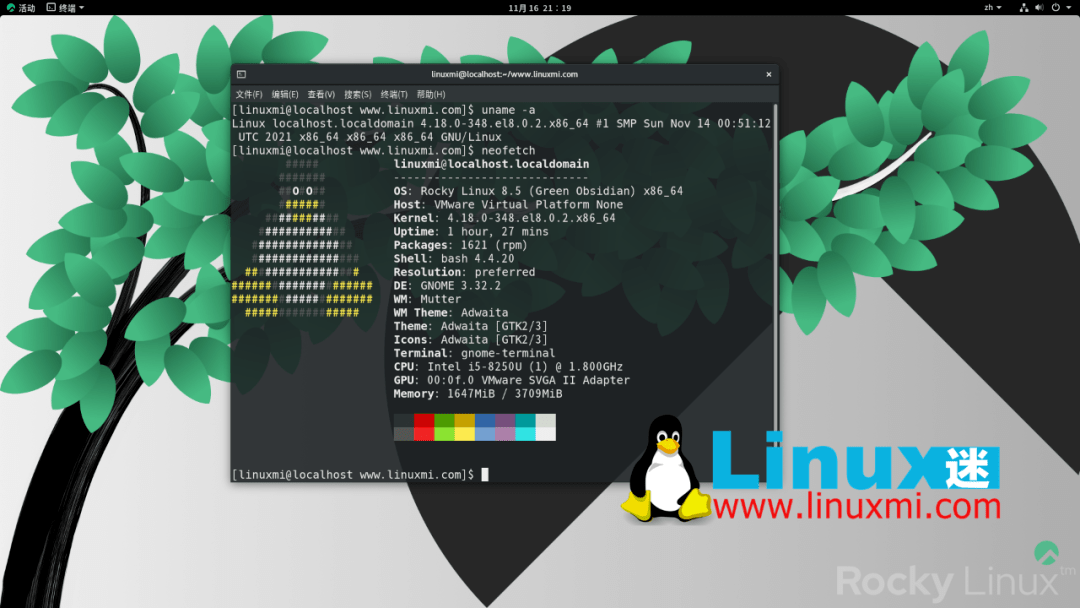 支持安全启动的 Rocky Linux 8.5 已推出，取代即将消亡的 CentOS_版本