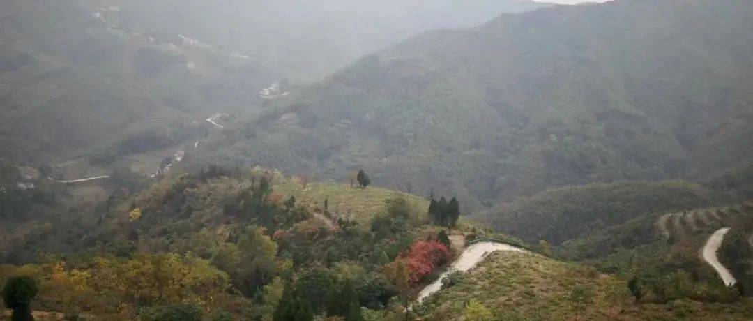安康通报一名密切接触者，紧急寻找次密接者防控姜某疫情 