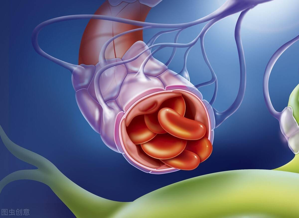 常用降压药物ACEI、ARB、CCB的不良反应及处理策略_血管_合并_AngII