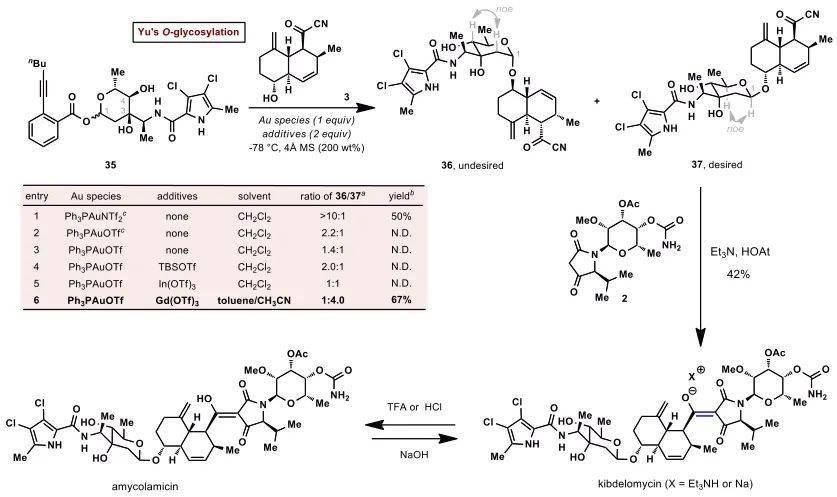 天然抗生素Amycolamicin/Kibdelomycin的全合成_片段_结构_产物