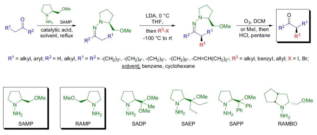 Enders SAMP/RAMP腙烷基化反应_进行_Chem_Synlett