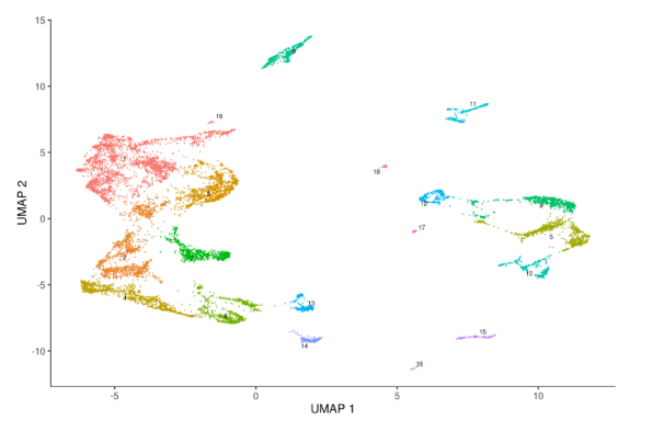 monocle 分析之细胞聚类_are_轨迹_cells