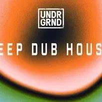 UNDRGRND Sounds 推出 Deep Dub House 采样包_com_广告_tech