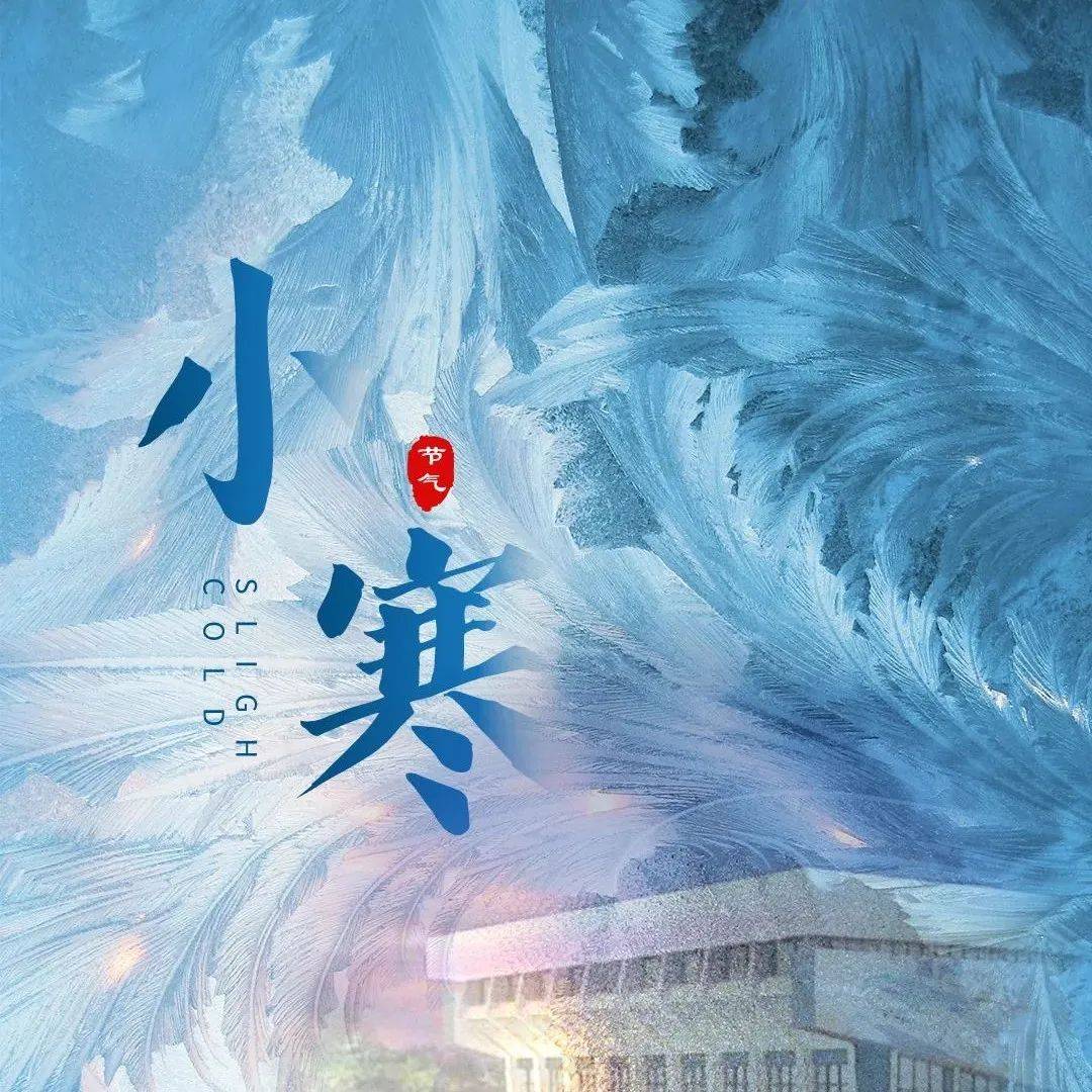 【洪体阳光】小寒萧萧冬日俏，雪花飘飘迎风笑项目体育金姝妤